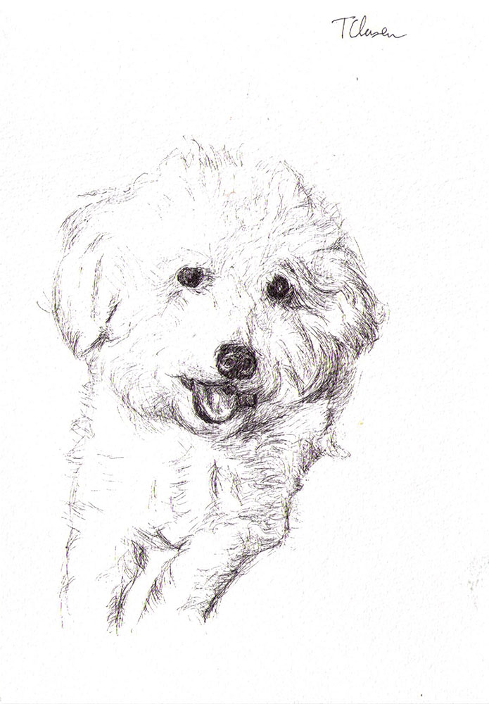 Four drawings of dogs in ballpoint pen – Pet Portraits by Thomas Clausen